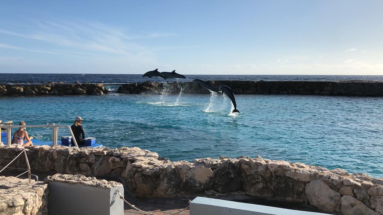 Curaçao – KS Turismo